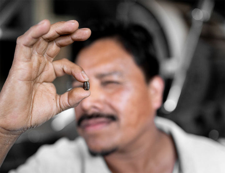 Brazil Coffee Production | A Brief History | Ebru Coffee