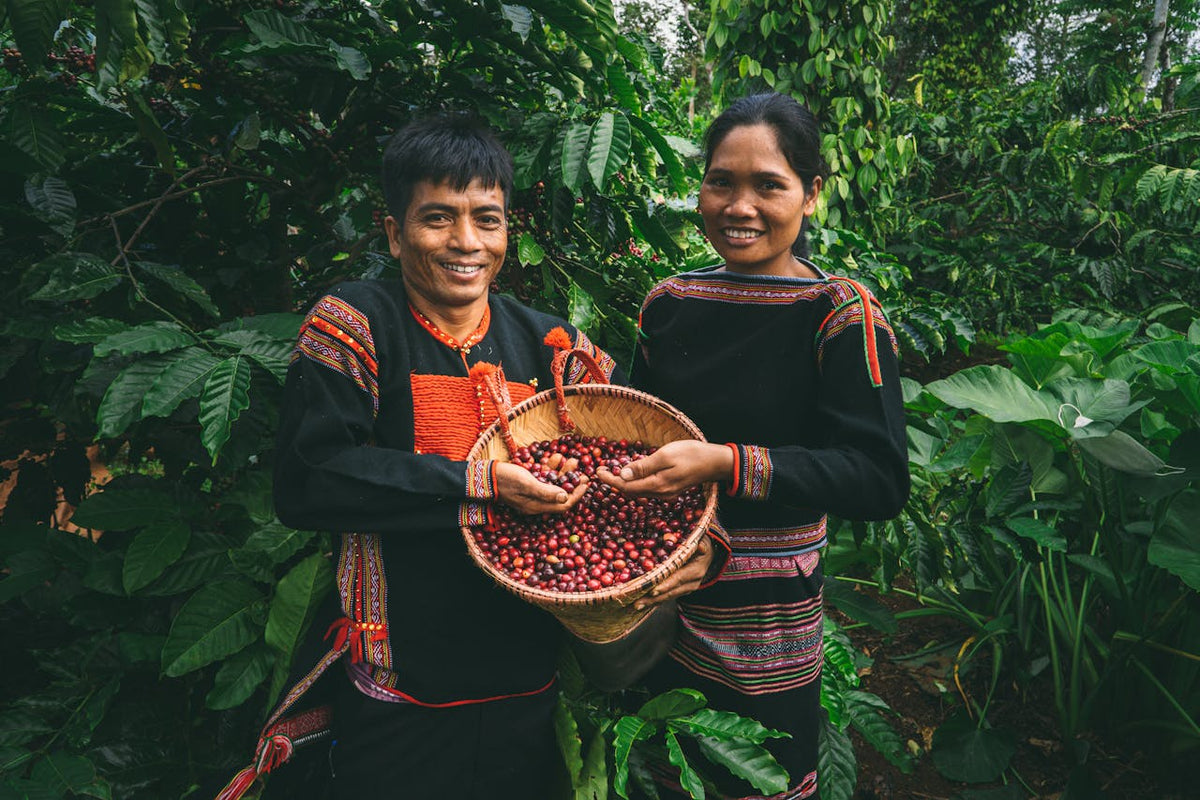 Coffee Growing Regions | A Global Overview | Ebru Coffee