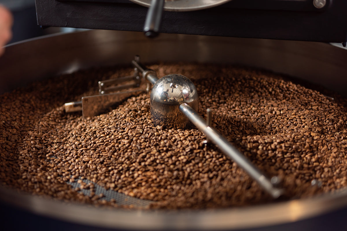 Wholesale Specialty Coffee | Sustainable | Shop Ebru Coffee